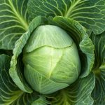 13 Best Vegetables to Grow in Virginia