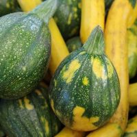 13 Best Vegetables to Grow in Virginia