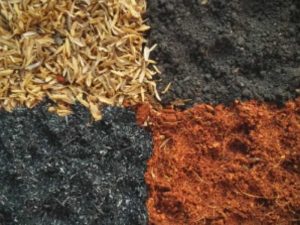 6 Best Soilless Growing Media for Plants