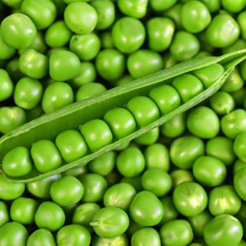 13 Best Vegetables to Grow in Virginia